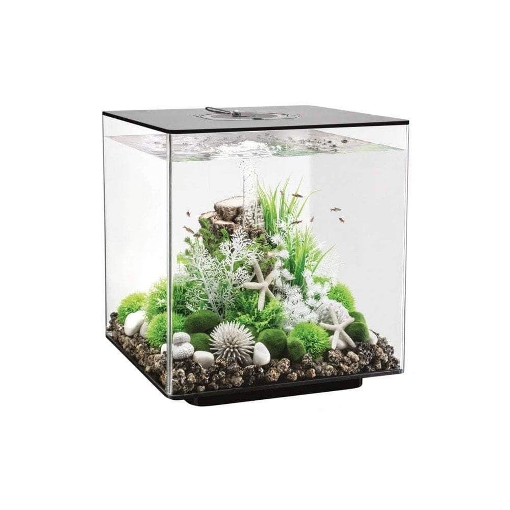 Aquarium biOrb Cube 30MCR noir